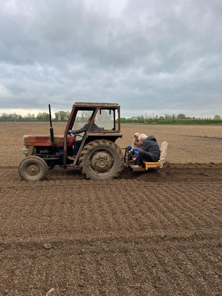 Organic Potato Farming - Sowing - Kildare Farm Foods